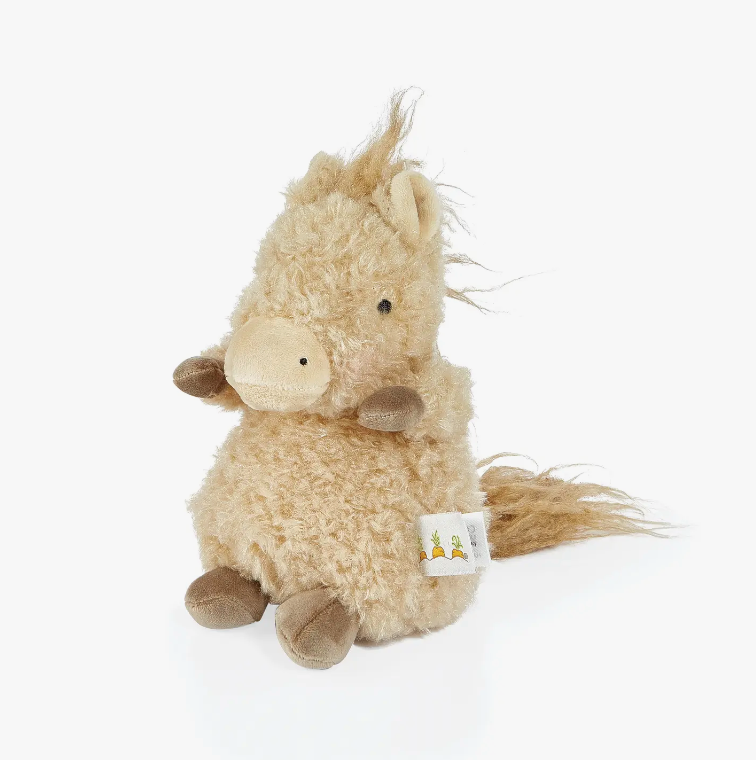 Wee Pony Boy the Horse